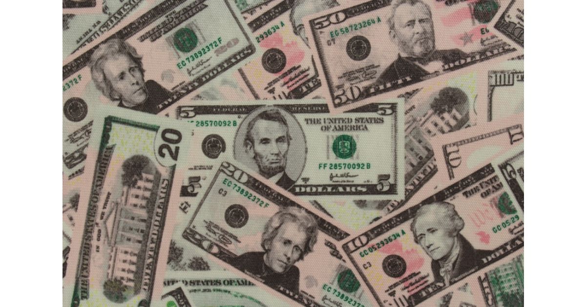 US Money Print on Canvas - The Fabric Mill