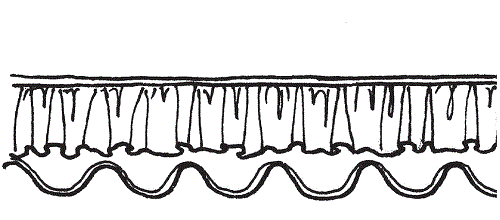 Stylish Curtain Borders - Transform Your Space - The Fabric Mill